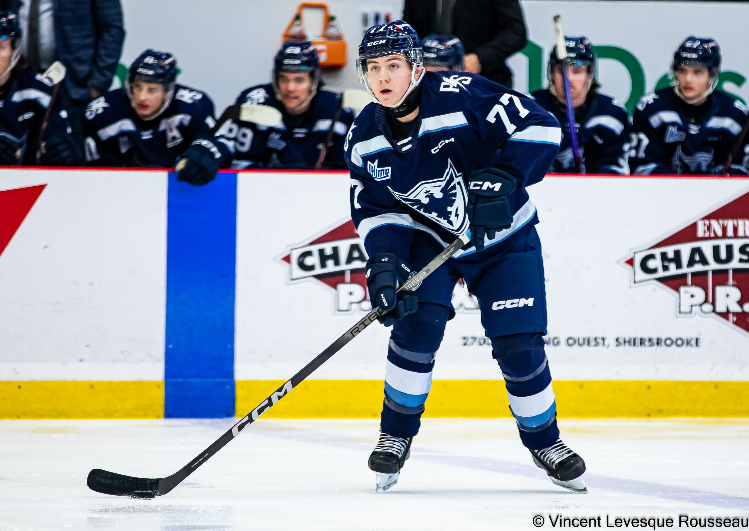 Louis-Alex Tremblay ouvre ses ailes chez le Phoenix - Le Sherbrooke